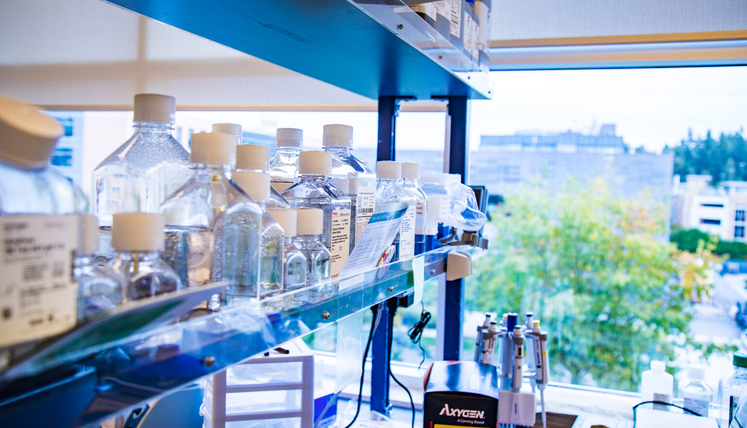 Current Job Openings At Acuitas Therapeutics